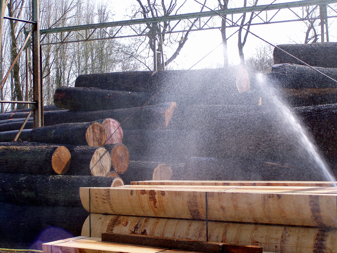 Edles Unikat aus Holz: Furnier wird aus dem Besten des Waldes hergestellt